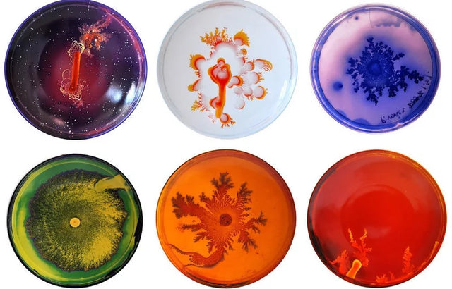 Plinth | Contemporary Art Consultancy, Magazine and Shop, London